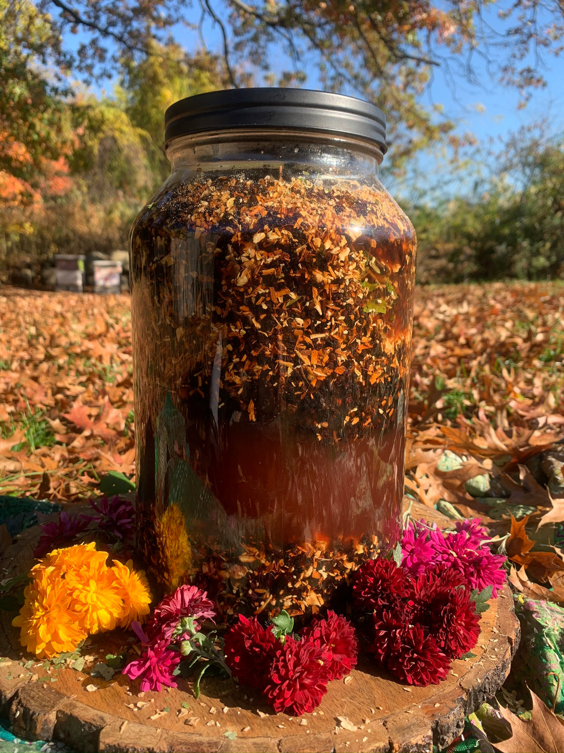 What is Elderberry SizZurp (syrup) and how does it work? – Glam ...